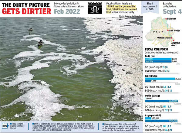 Yamuna's Pollution Crisis: Record High Fecal Coliform Levels Unveiled ...