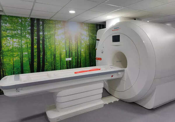 Ratan Tata last gift to India: A 200-bed animal hospital in the heart ...