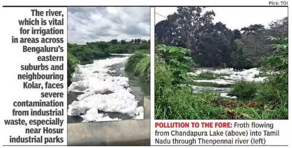 Chandapura Lake: Toxic Froth from Chandapura Lake Pollutes South Pennar ...