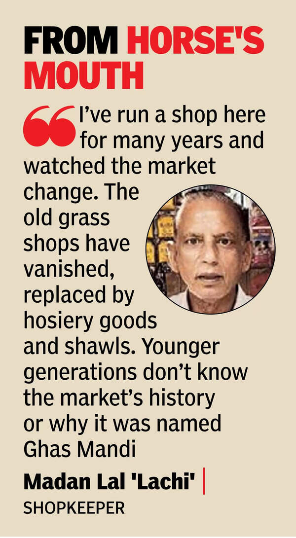 Ghas Mandi: From Horse Feed to Fashion: Ghas Mandi's Transformation ...