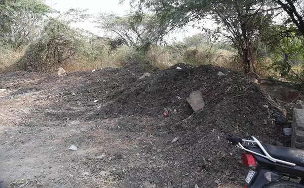 Haryana Shocker: Cow Vigilantes Chase & Kill Teenager In Faridabad ...