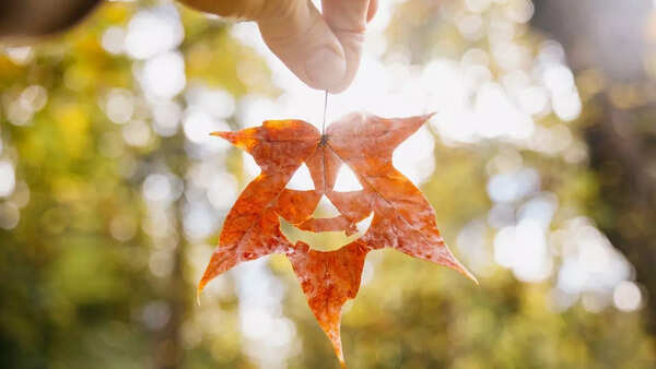 Happy Halloween 2024: Fun doodles, spooky wishes, jokes, images, and ...