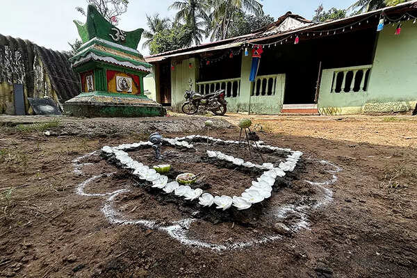 Cattle worship upheld by legacy’s last herders | Goa News - The Times ...
