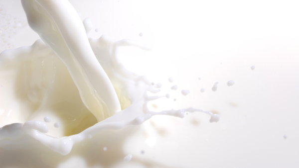 5 dangerous side effects of drinking raw milk - Times of India
