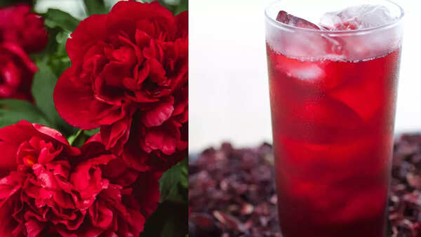 Buransh Benefits: What is Buransh? Health benefits of this Himalayan ...