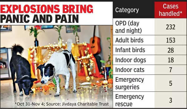 Amid 'Animal's massive success, Ranbir Kapoor's old interview about ...