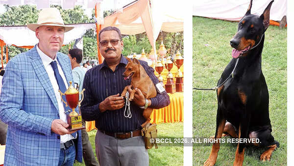 Paw-sitive vibes only! | Events Movie News - Times of India