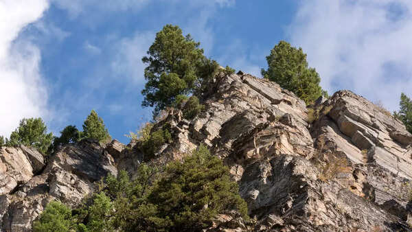 Barbara Bolick: The mysterious puzzle of a woman hiker who disappeared ...