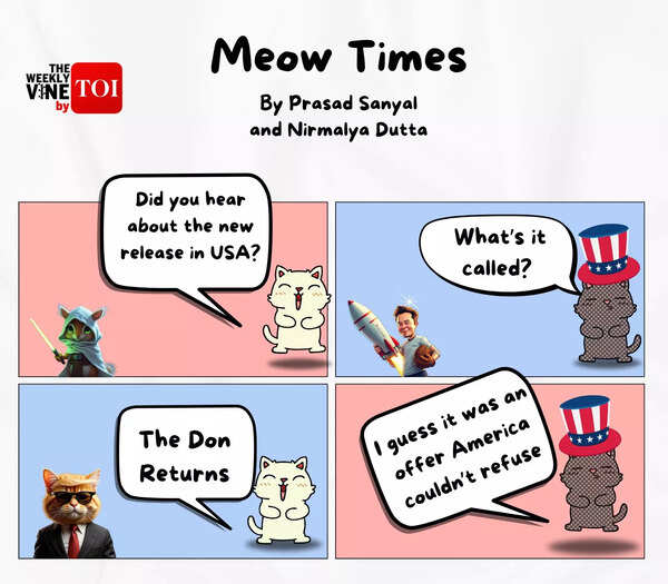 Beyond Dem Delusions: Why 75 million Americans love Donald Trump ...