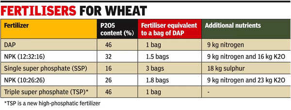Farmers Encouraged to Use Alternative Phosphorus Fertilizers as DAP ...