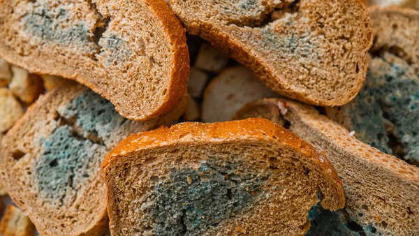 7 Ways to check if the food is fresh or stale - Times of India