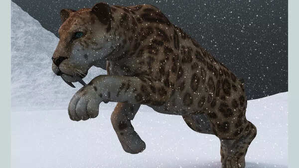Scientists discover perfectly preserved Saber toothed cat from the ice ...