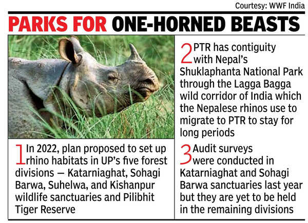 Pilibhit tiger reserve seeks security audit for setting up rhino ...