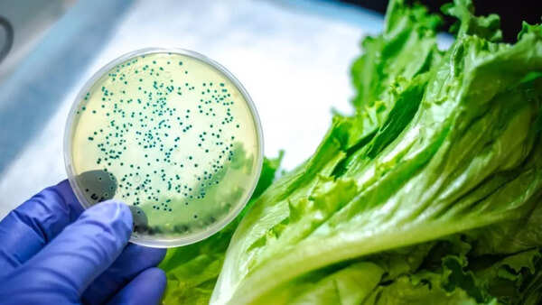 7 foods that can put you at risk of E coli - Times of India