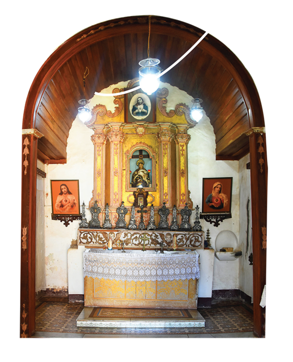 HOW SAINT FRANCIS XAVIER LIVES ON | Goa News - Times of India