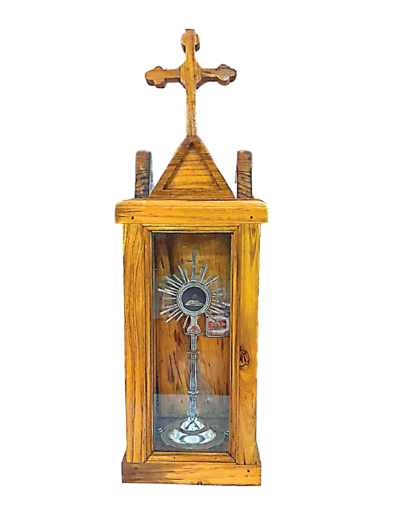 HOW SAINT FRANCIS XAVIER LIVES ON | Goa News - Times of India