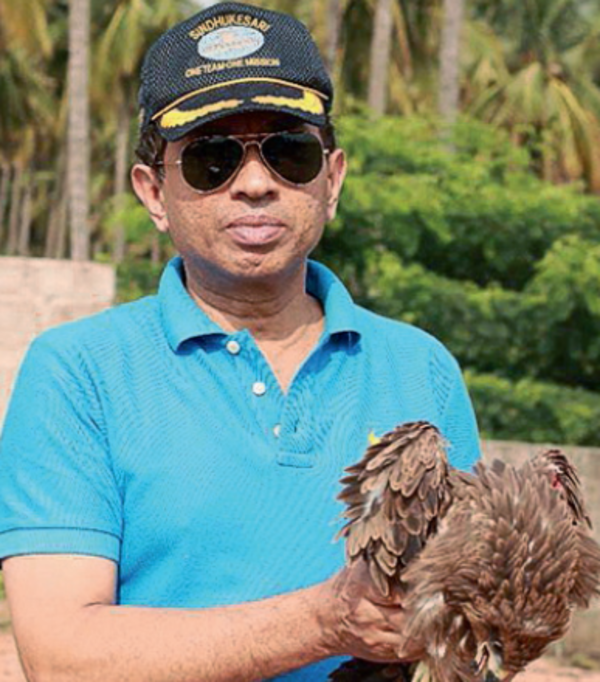 Many Bengaluru residential complexes have to deal with monkeys & snakes ...