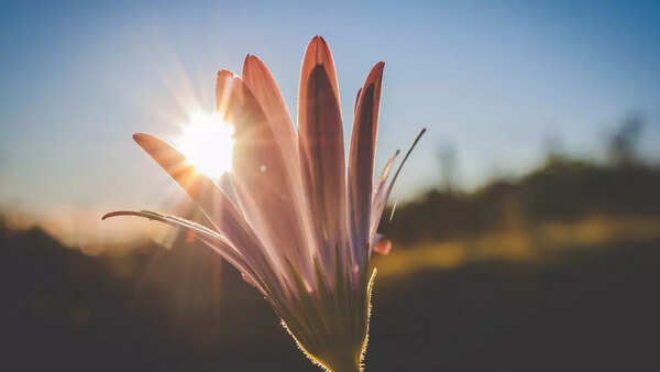 The sun is NOT yellow: This is its original colour - Times of India