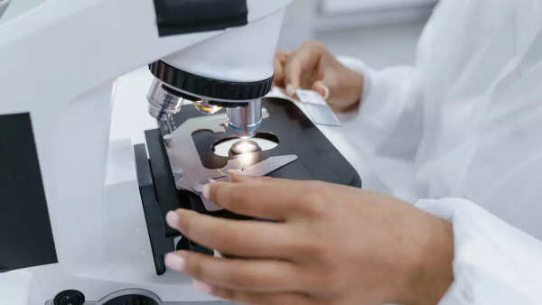 Pathogenic drug-resistant bacteria found in Ukraine war victims raise ...