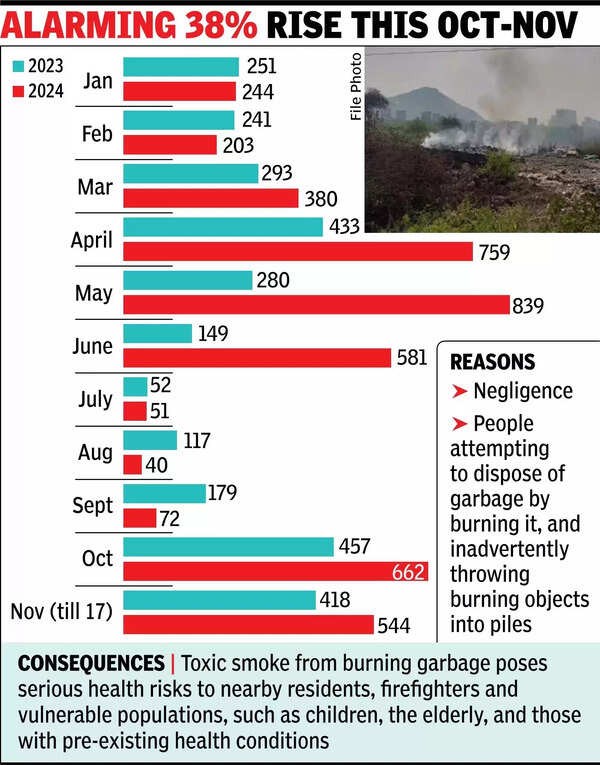 Delhi's Garbage Fires: A Rising Danger to Health and Environment ...