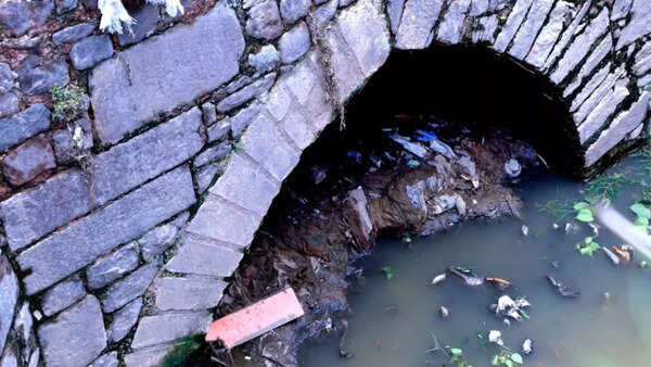 The 400-year-old Barapullah Bridge: Delhi's Mughal heritage emerges ...