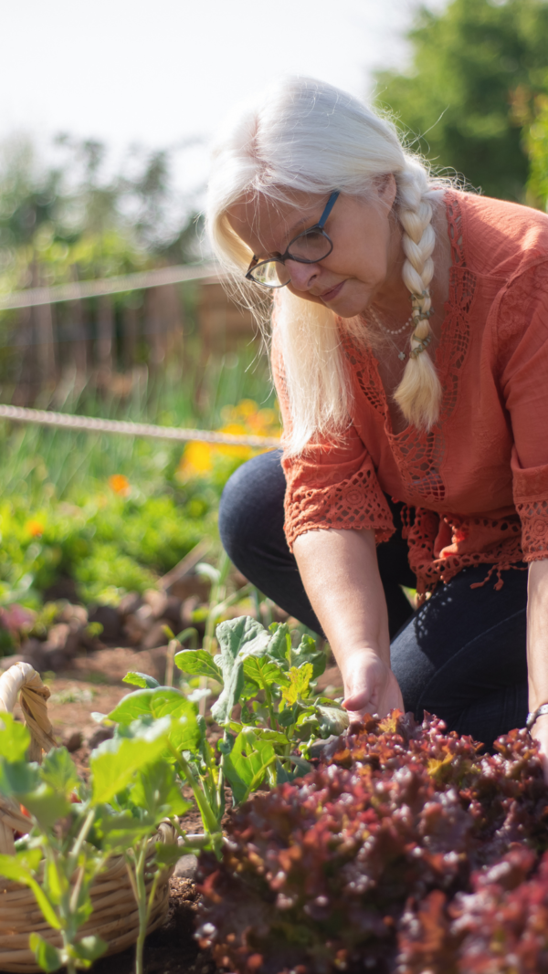 Csir Net December 2024 Application Form Timetable Expected Soon Check