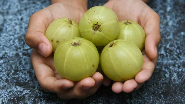 Amla Candy Recipe: Delicious Homemade Amla Candy: A Winter Superfood ...