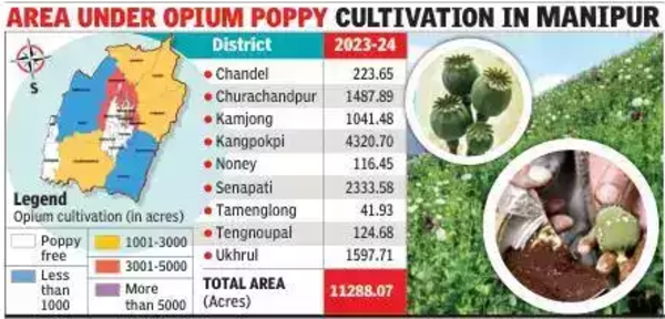 Satellite Imagery Reveals Ongoing Poppy Cultivation in Manipur Despite ...