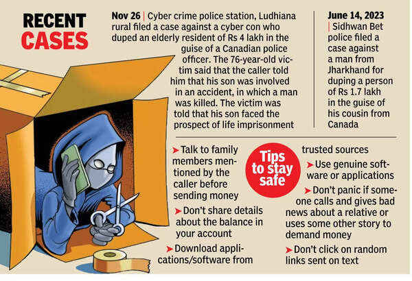 Beware of Cyber Frauds: How Scammers Exploit Parental Fear | Ludhiana ...