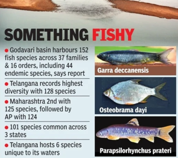 Sand Mining and Pollution Threaten Telangana's Fish Diversity ...