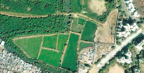 No NOC for land transfers without nods: TCP | Goa News - Times of India