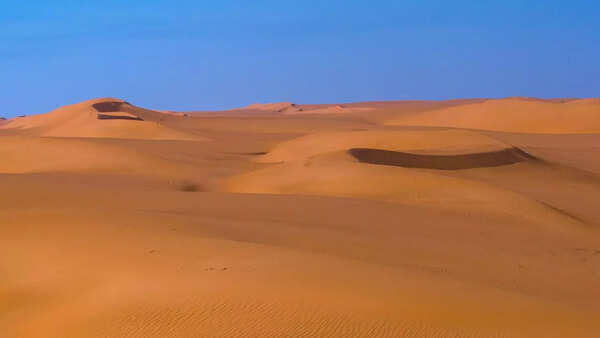 How saudi arabia is cultivating life in the heart of its deserts ...