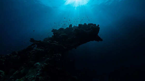 Alien-looking, deep-sea predator discovered in the ocean’s darkest ...