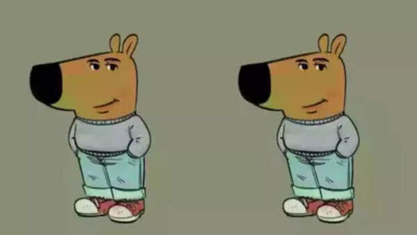 8 memorable viral moments of 2024 that ruled the internet - The Times ...