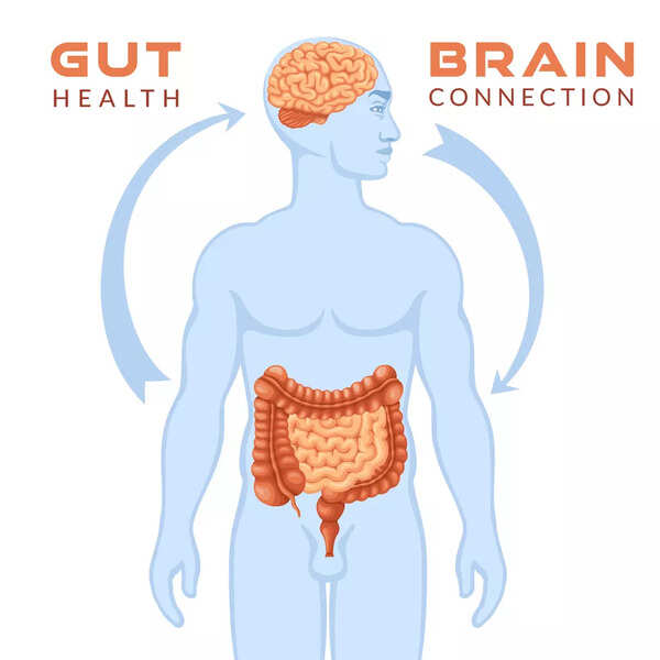 Gut health: Why is stomach health the answer to better fitness and life | - Times of India