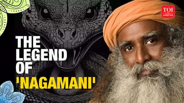 Rare Nagmani Found? Sadhguru Tells an Untold Story of the Sacred Gem