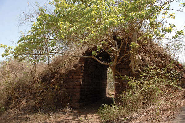THE LOST CITY | Goa News - Times of India