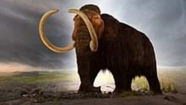 5 ice age animals you won’t believe existed | - Times of India