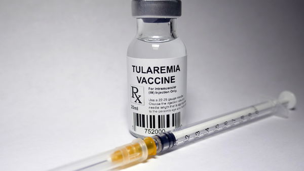 What is Rabbit Fever: Know the symptoms and prevention tips for this ...