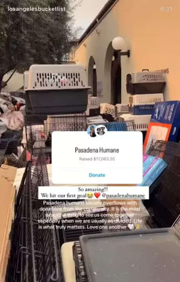 Freddie and Chelsea Freeman Donate $300,000 to Support California ...