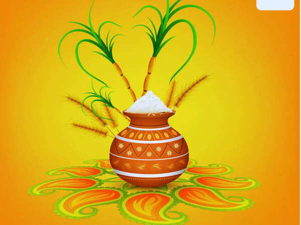 Bhogi Pongal 2025 Wishes & Quotes: 75+ Happy Pongal Messages, Greetings ...