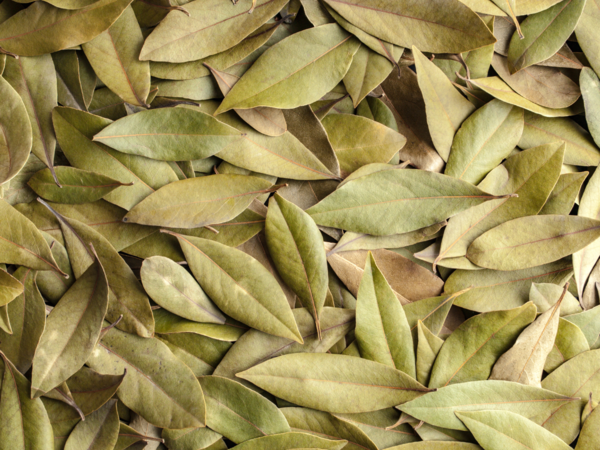 Do bay leaves really add to taste when used in food? Here's the truth ...