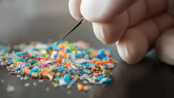 Are microplastics responsible for cancer? Know the truth - The Times of ...