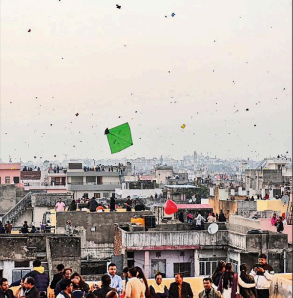 Vo Kaata! Jaipur rooftops echo with kite-flying cheers on Makar Sankranti; see pics | Jaipur ...