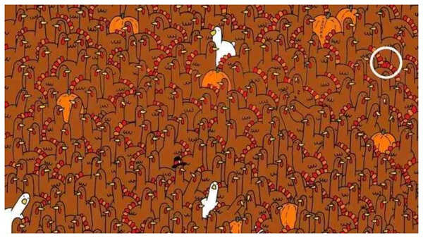 Optical illusion: Only those with sharp vision can spot the hidden ...