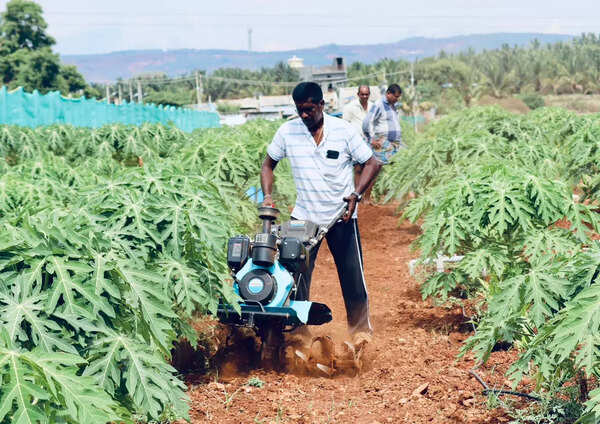 From Cop to Cultivator: Hubballi DCP CR Raveesh Embraces Farming for ...