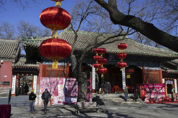 Chinese New Year 2025: Which Lunar New Year animal are you like? - The ...