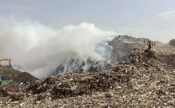 MCG CEO Stuart Fox: 'We're going to go well over 2,50,000 through the ...