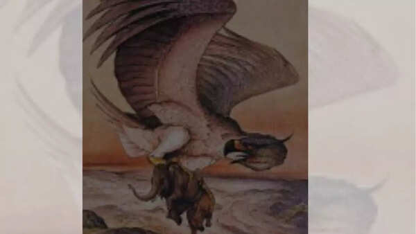 6 mythical creatures inspired by real animals | - The Times of India