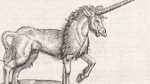 6 mythical creatures inspired by real animals | - The Times of India